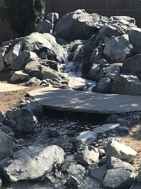 Landscape Designer & Contractor in Orange County & Chico | Drought ...