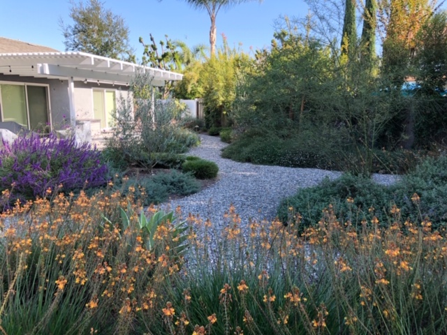 Landscape Designer & Contractor in Orange County & Chico | Drought ...