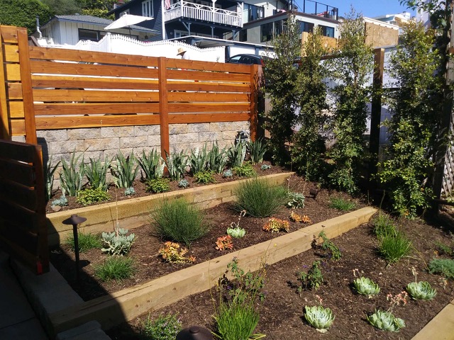 Landscape Designer & Contractor in Orange County & Chico | Drought ...