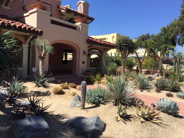 Landscape Designer & Contractor in Orange County & Chico | Drought ...