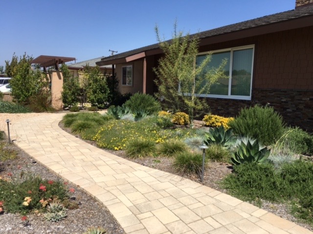 Landscape Designer & Contractor in Orange County & Chico | Drought ...